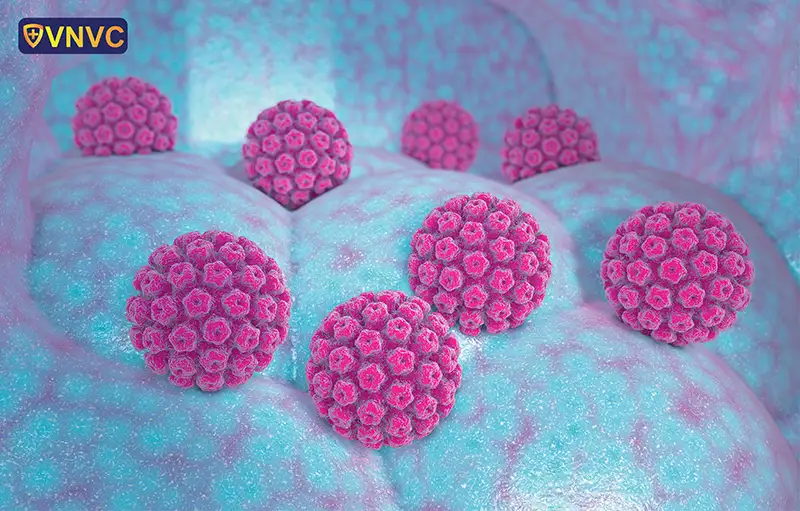 HPV 31 33 35 gây nên những bệnh gì? Phòng ngừa được không?